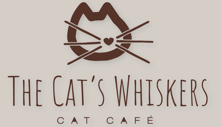 10 Hidden Delights You Won't Want to Miss in York | Your Local Link ...