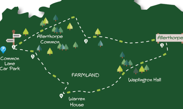 Walking with the Wanderer: Allerthorpe Common | Your Local Link Magazine