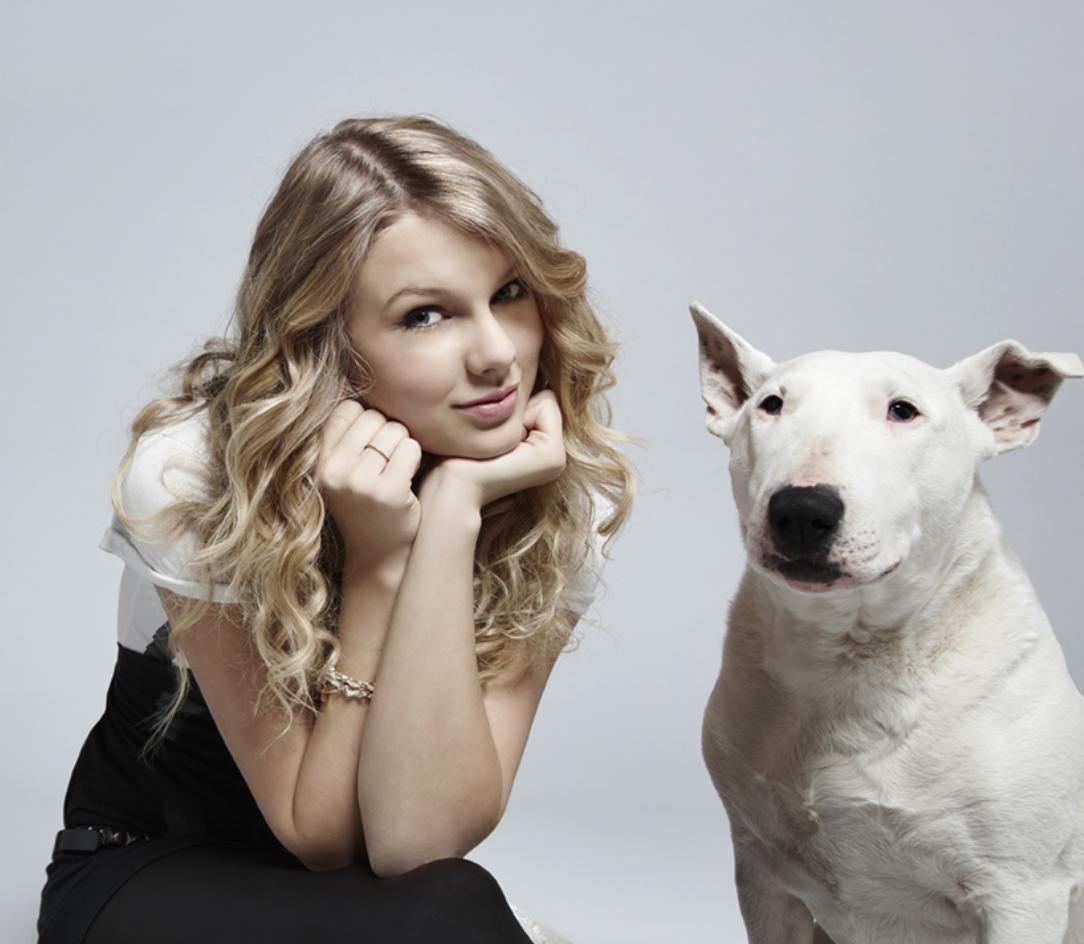 Paw Trait Photoshoot With Derrick Santini | Your Local Link Magazine