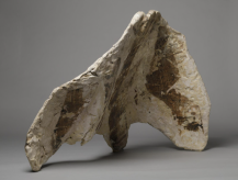 Not a Pot | Your Local Link Magazine