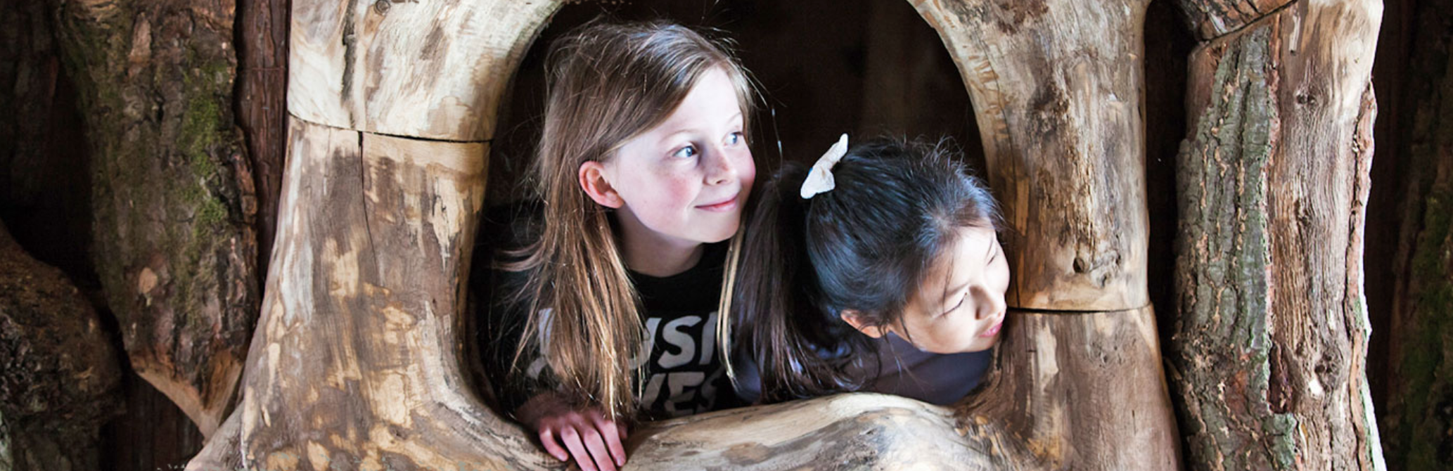 Williams Den | Your Local Link Magazine